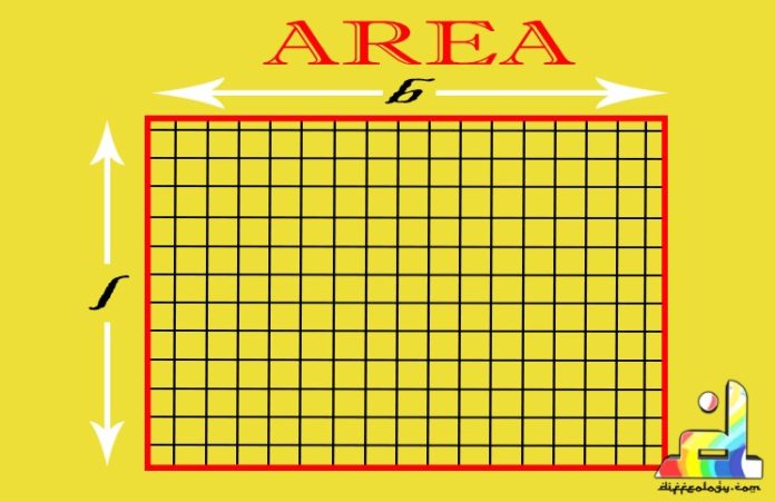 Difference Between Area And Volume | Diffeology