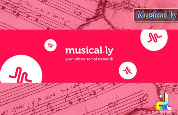 Difference Between Tik Tok And Musically | Diffeology