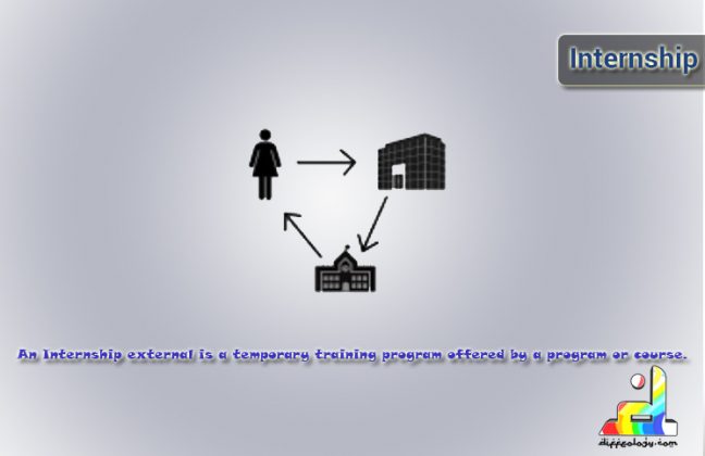 The Difference Between Internship And Externship | Diffeology