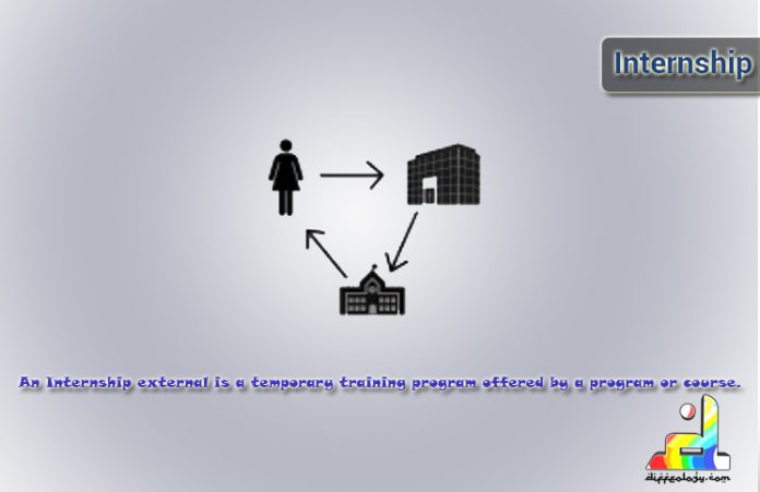 The Difference Between Internship And Externship | Diffeology