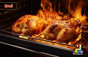 Difference Between Baking And Broiling | Diffeology