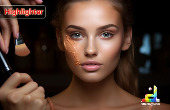 Difference Between Bronzer And Highlighter | Diffeology