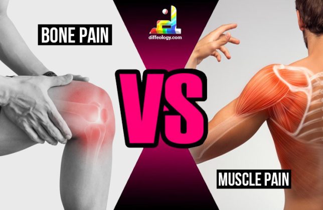 Difference Between Bone Pain And Muscle Pain | Diffeology
