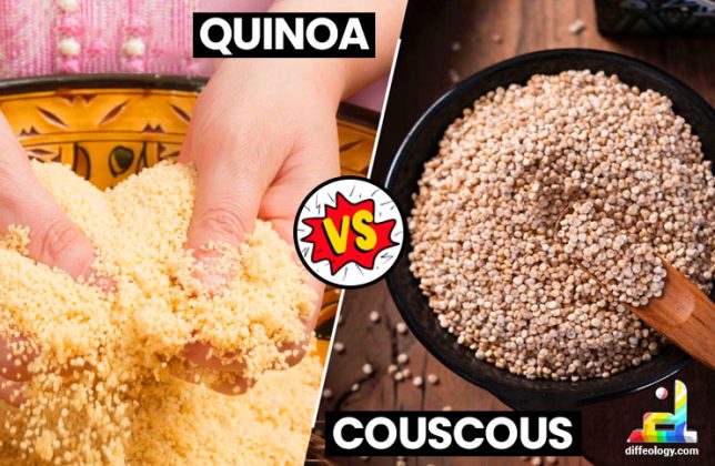 Difference Between Quinoa And Couscous | Diffeology