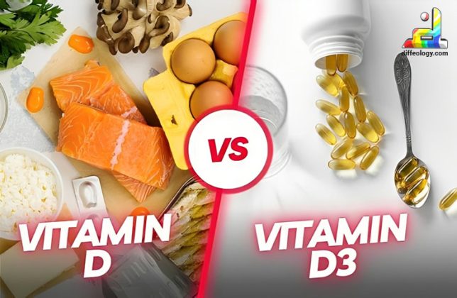 Difference Between Vitamin D And D3 Diffeology 5014