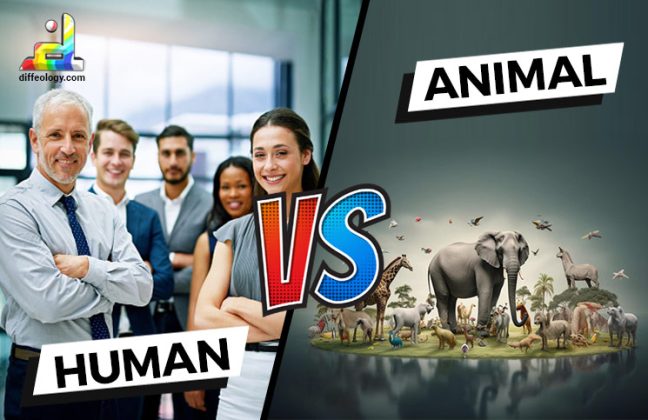 Difference Between Humans And Animals | Diffeology