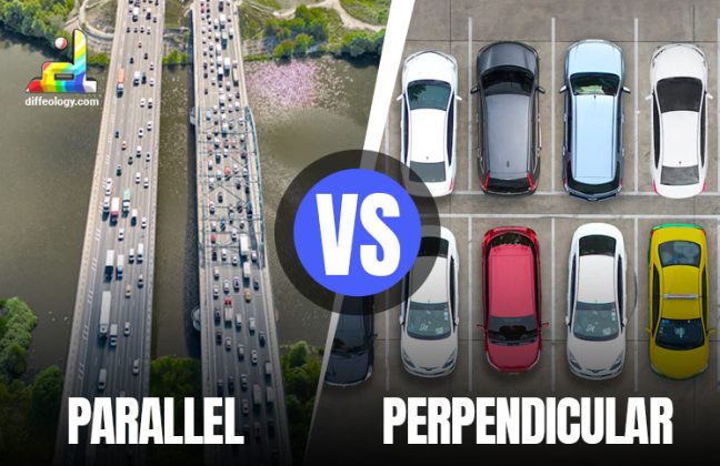 Difference Between Parallel And Perpendicular | Diffeology