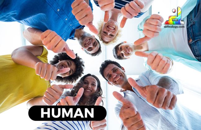 Difference Between Humans And Animals | Diffeology