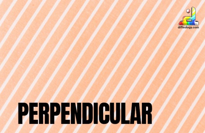Difference Between Parallel And Perpendicular | Diffeology