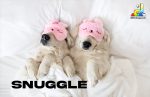 Difference Between Cuddle And Snuggle | Diffeology