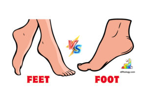 Difference Between Feet And Foot | Diffeology