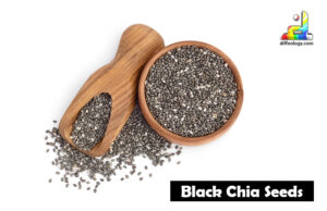 Difference Between Black And White Chia Seeds | Diffeology