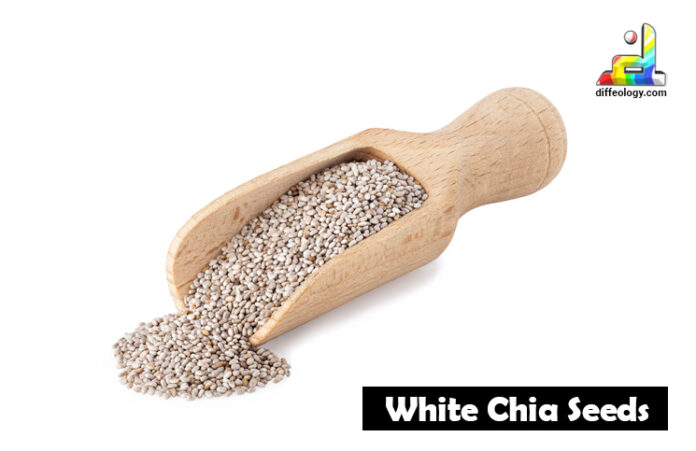 Difference Between Black And White Chia Seeds | Diffeology