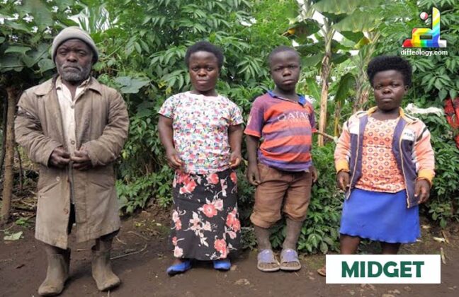 Difference Between Midget And Dwarf | Diffeology