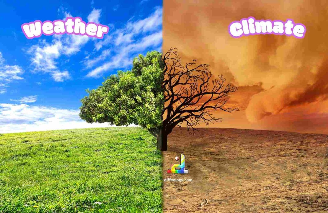 Difference Between Weather And Climate | Diffeology