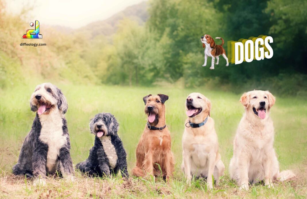 Difference Between Wolves And Dogs | Diffeology