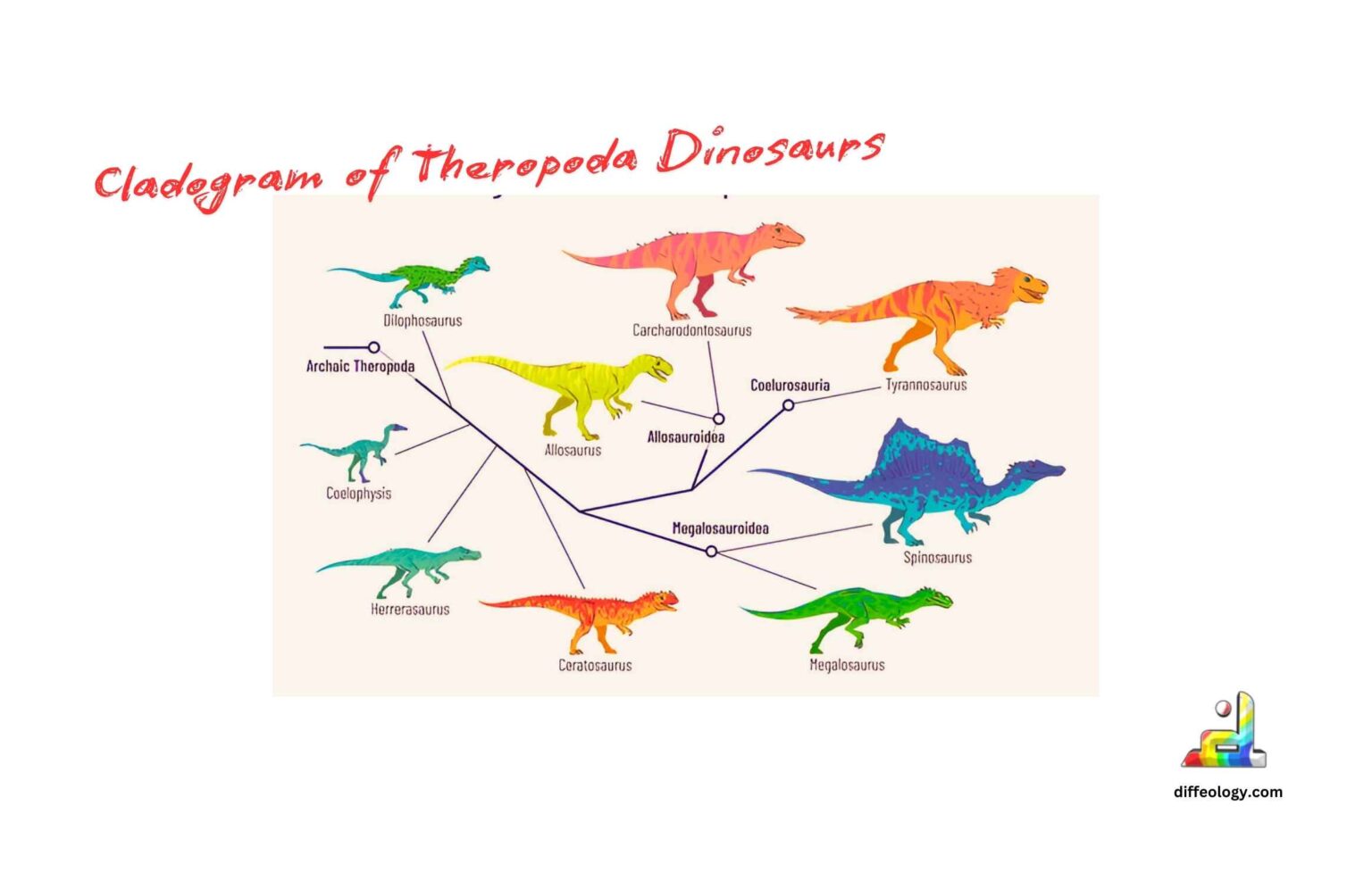 Difference Between Cladogram And Phylogenetic Tree | Diffeology