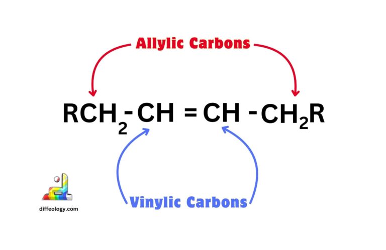 Difference Between Allylic And Vinylic Carbons | Diffeology