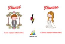 Difference Between Stag And Buck | Diffeology