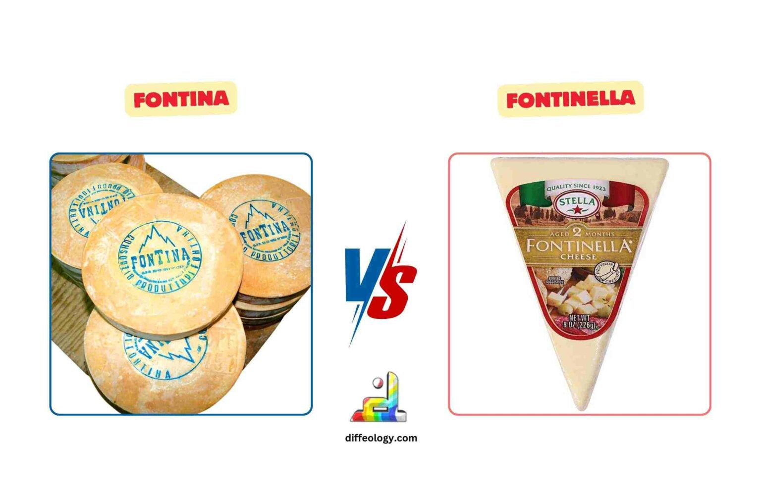 Difference Between Fontina And Fontinella | Diffeology