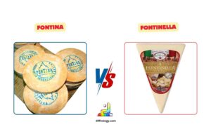Difference Between Fontina And Fontinella | Diffeology