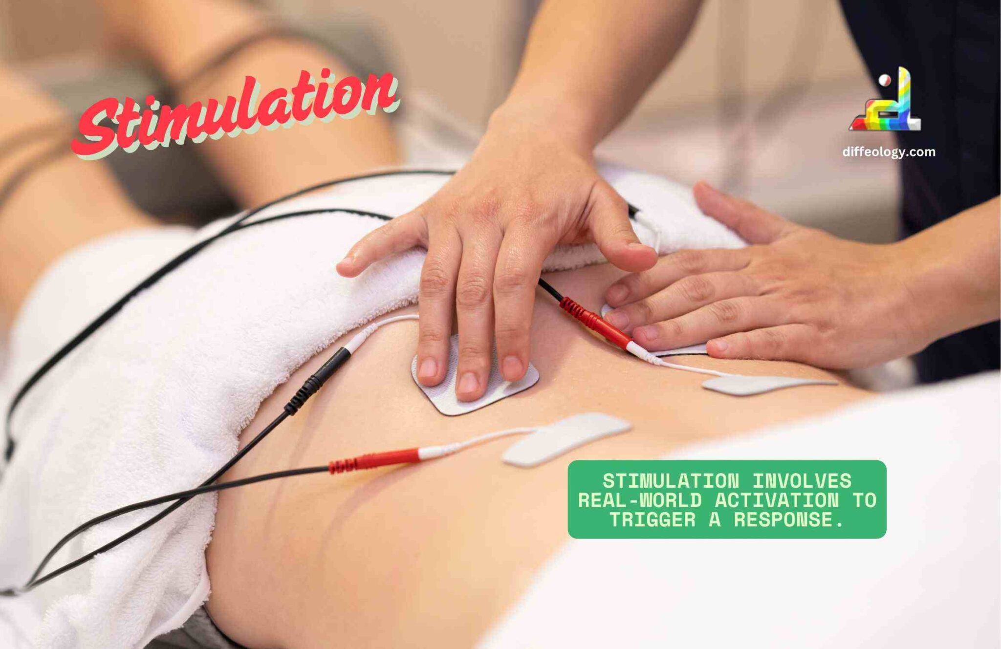 Difference Between Stimulation And Simulation | Diffeology