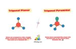 Difference Between Trigonal Planar And Trigonal Pyramidal | Diffeology