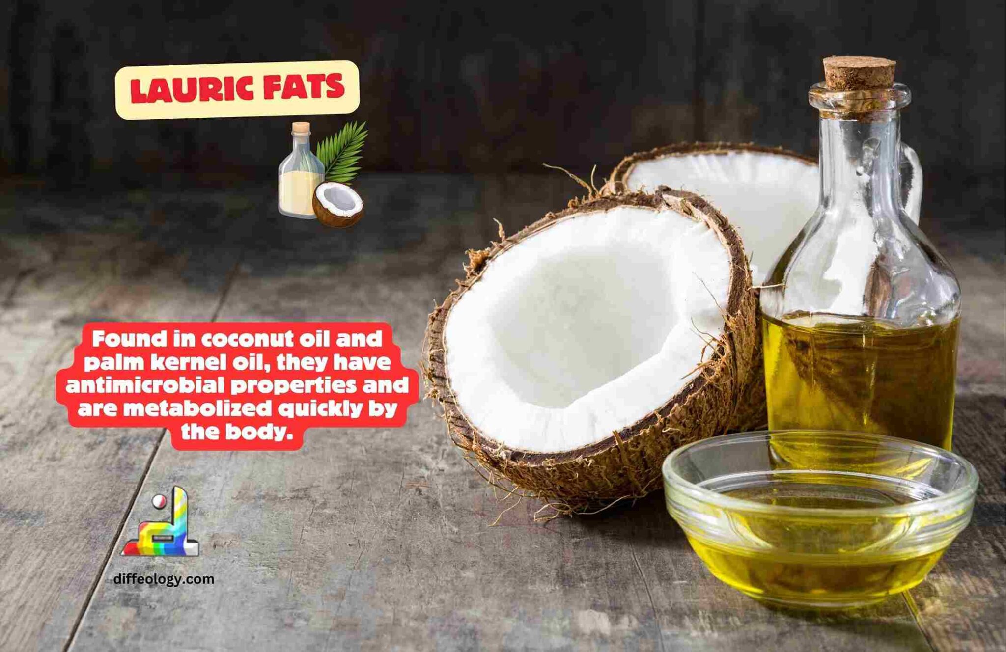 Difference Between Lauric And Non Lauric Fats | Diffeology