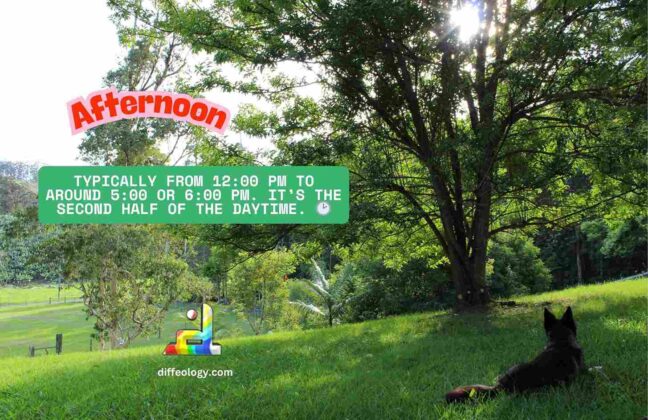 Difference Between Evening And Afternoon | Diffeology