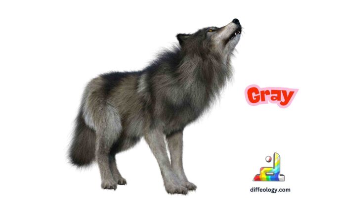 Difference Between Gray And Grey | Diffeology