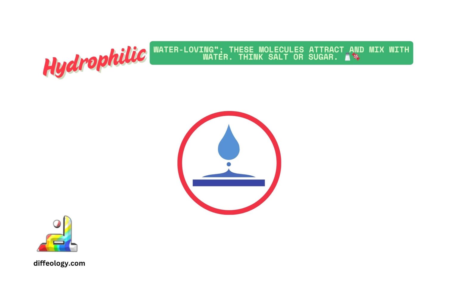 Difference Between Hydrophilic And Hydrophobic | Diffeology
