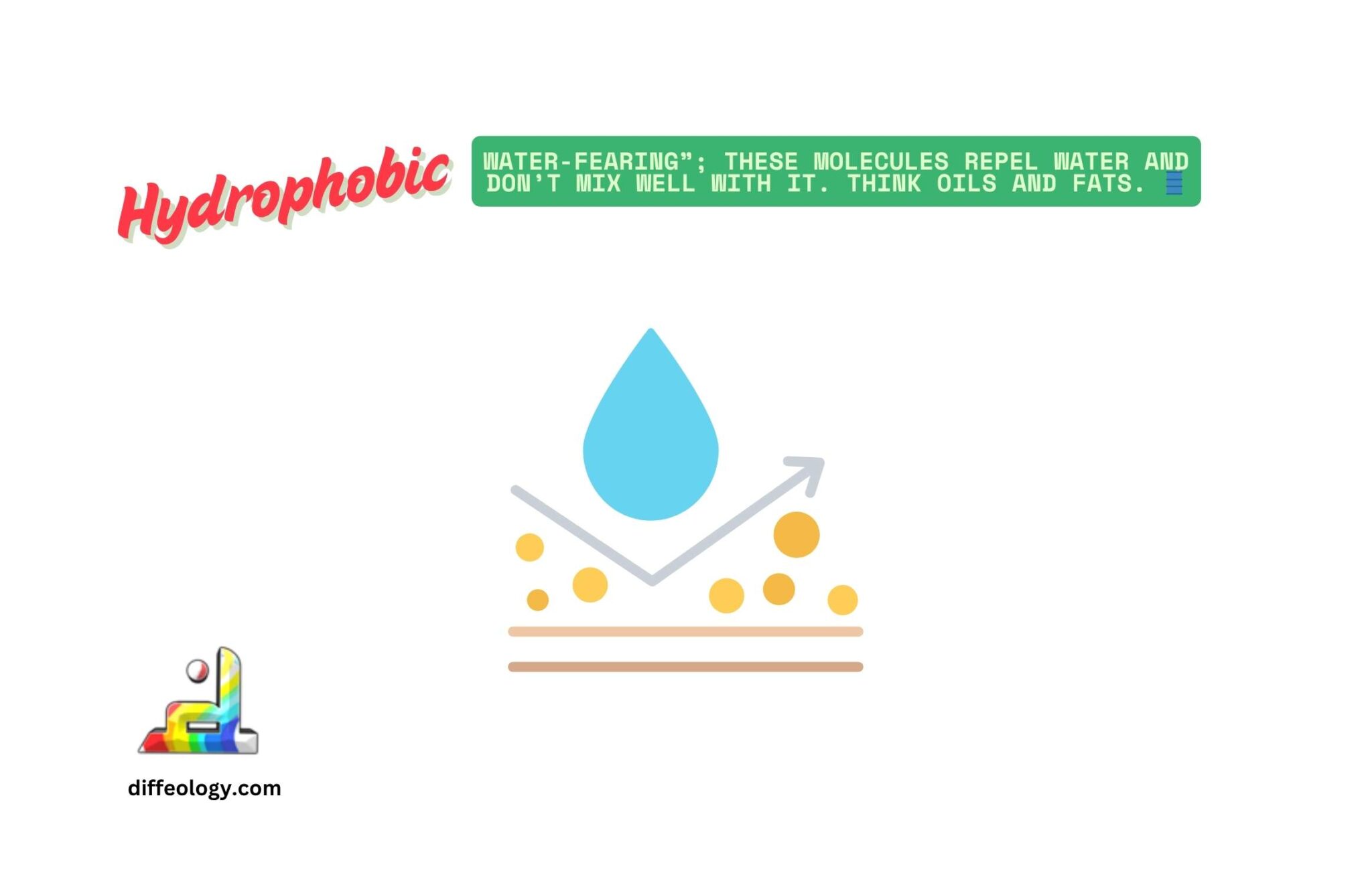 Difference Between Hydrophilic And Hydrophobic | Diffeology