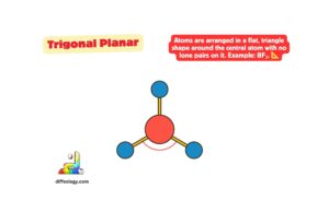 Difference Between Trigonal Planar And Trigonal Pyramidal | Diffeology