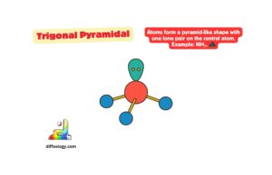 Difference Between Trigonal Planar And Trigonal Pyramidal | Diffeology