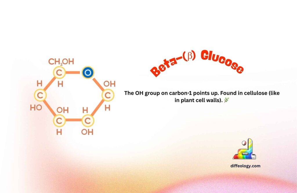 Difference Between Alpha And Beta Glucose | Diffeology