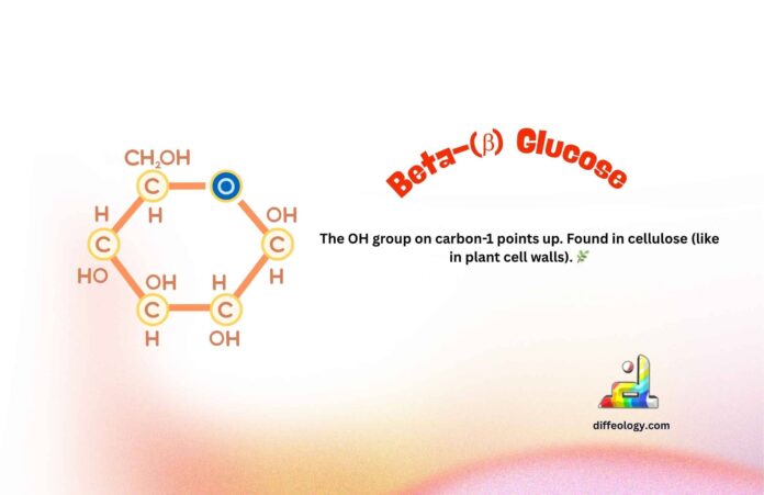 Difference Between Alpha And Beta Glucose | Diffeology