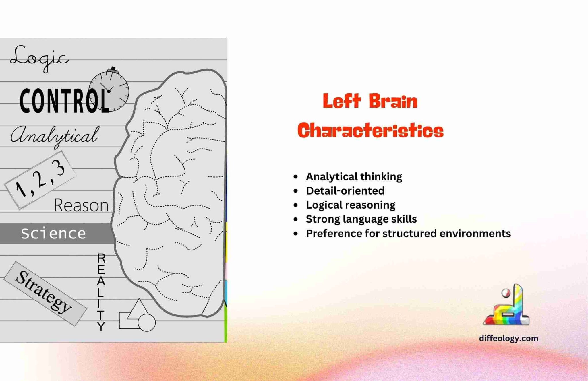 Difference Between Left And Right Brain | Diffeology